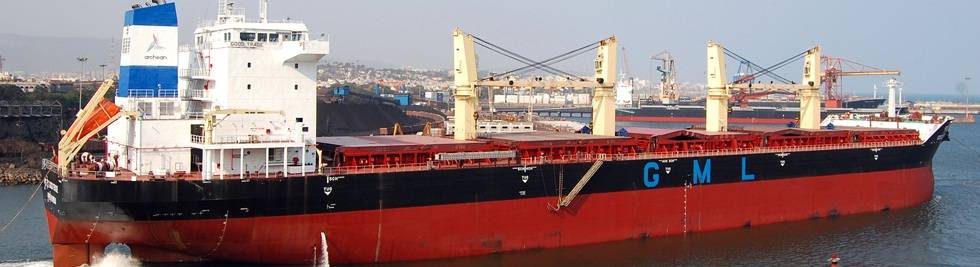 HSL In Pact With Hyundai To Build Fleet Support Ships?