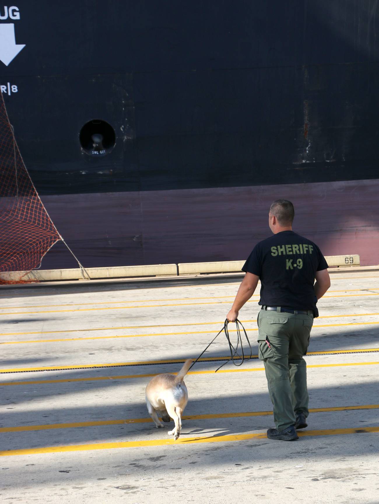 CBP Leads Multi Agency K9 Search Of Seaport Vessels, Containers