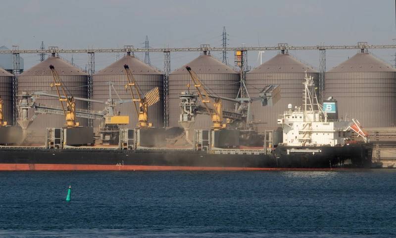 Can Ukraine's Grain Corridor Ease the Global Food Crisis?