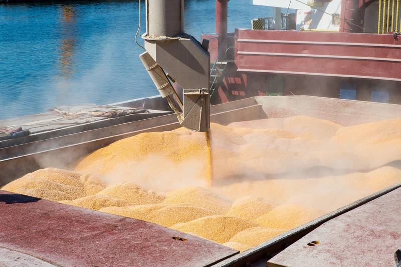 China Set to Become World's Top Corn Importer