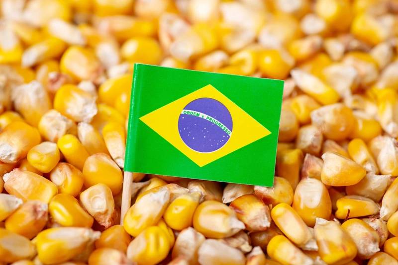 Brazil on Track to Become World Maize Export Leader in '23
