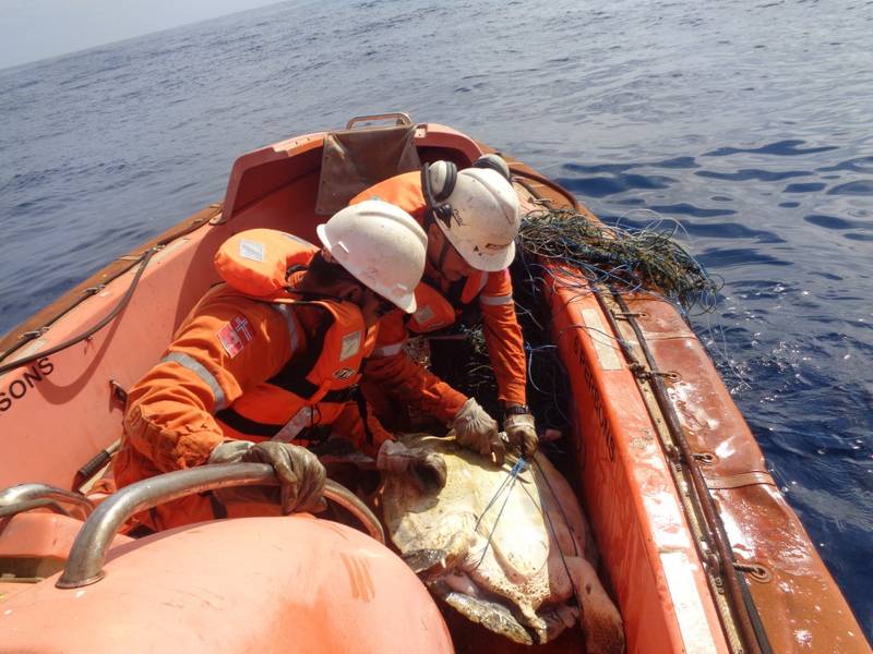 FPSO Crew Rescues Trapped Sea Turtle