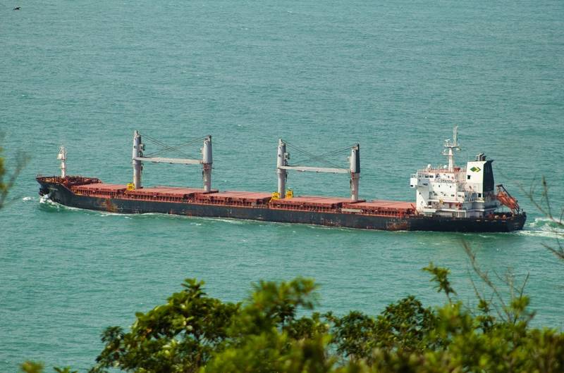 Logistical Bottlenecks Seen Limiting India's Soymeal Imports
