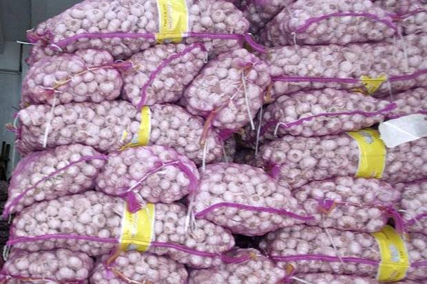 Infested Chinese Garlic Imports Kick up a Stink in Indonesia