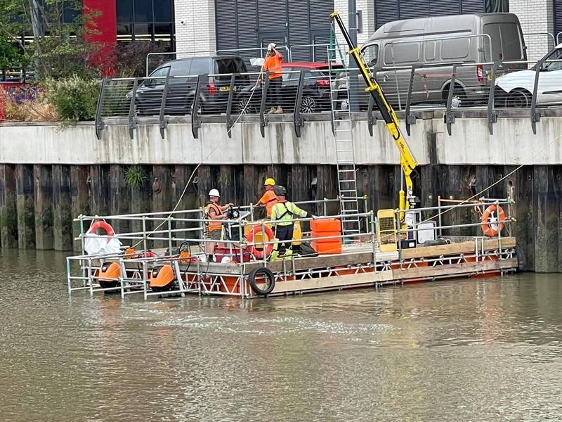 Multicat Made from Scaffold