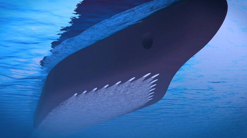 Silverstream Air Lubrication For Cruise Ship Refit