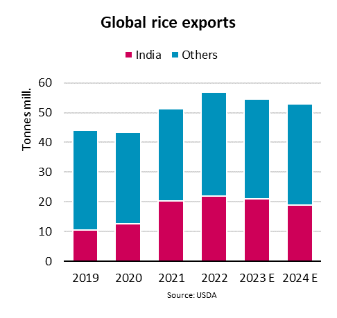 Global Rice Exports Could Fall Due to India’s Restrictions