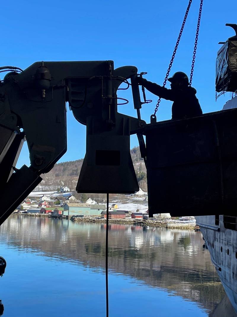 Maintenance Insights: Davits